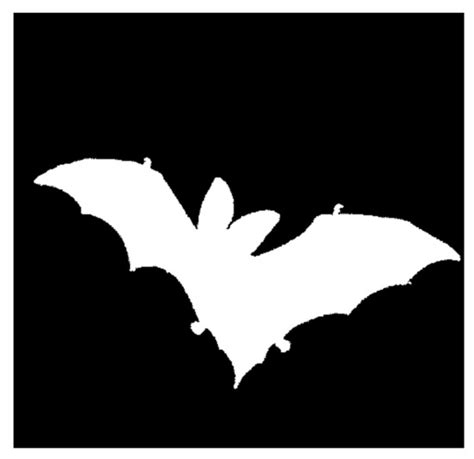 Symmetry Free Full Text Scn A Novel Shape Classification Algorithm Based On Convolutional