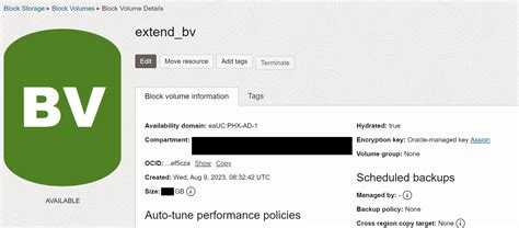 扩展连接到 Oracle Cloud Infrastructure Compute 实例的逻辑块存储卷
