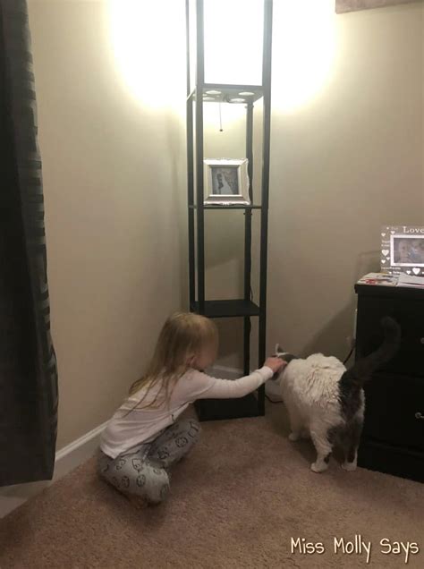 Brightech Maxwell Led Shelf Floor Lamp Sturdy Enough With Animals And