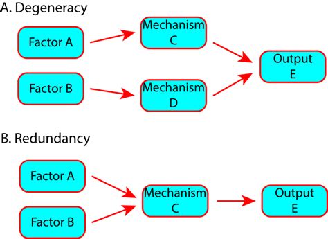 1 degeneracy and redundancy in biological systems a conceptual