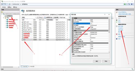 Net调用oracle 报错：systemdataoracleclient 需要 Oracle 客户端软件 817 或更高版本等问题