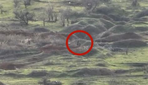 冲浪少女杨美丽2名俄士兵外出执行任务一人被乌狙击手一枪爆头脑浆迸裂 超过5万粉丝3万作品在等你 资讯视频 免费在线观看 爱奇艺