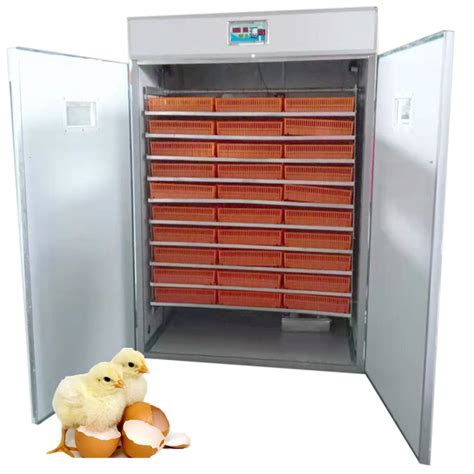 5280 Chicken Eggs Hatch Intelligent Next Generation Multi Purpose