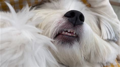 터벅 터벅 터벅 나의 일상 Youtube