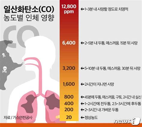무색‧무취 일산화탄소 중독사고 주의 텐트 안 화로 10분만에 ‘치사 농도 뉴스1
