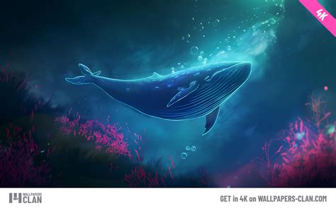 Ocean Wallpaper Desktop Hd 4k