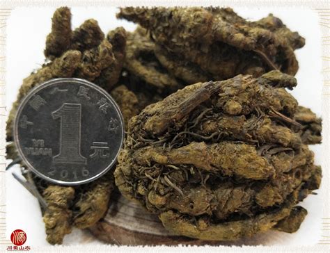 黄连鸡爪莲无硫统货散装1公斤起批产地直供川蜀山农中药材批发中药材诚实通