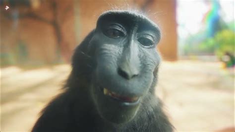 Monke Edit Better Youtube