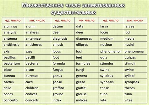 Правило множественного числа в английском языке для 2 класса схема