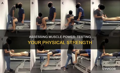 Assessing Muscle Power Testing Your Physical Strength Cyvigor