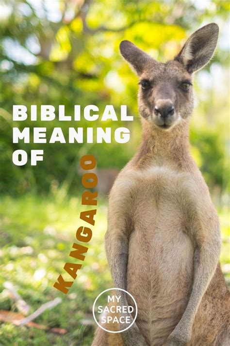 What Does A Kangaroo Spirit Animal Mean And Symbolize Artofit
