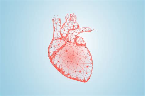 Healthy Heart Screening Fakeeh University Hospital
