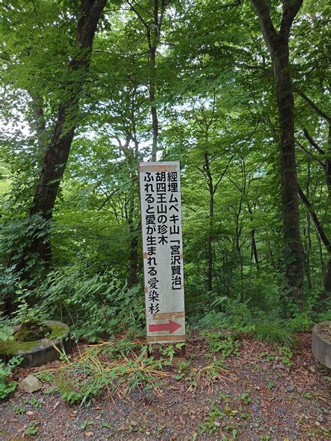 胡四王山（散歩） ダヤンさんの胡四王山の活動データ Yamap ヤマップ