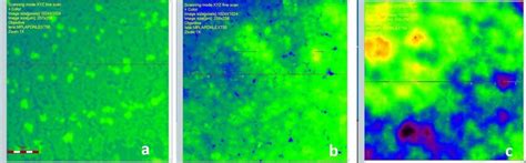 Confocal Laser Scanning Micrographs Of Latex Films On Glass Slides From