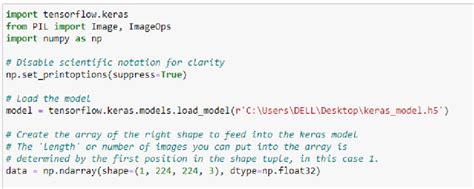 Shows The Imposition Of Keras H5 Model Download Scientific Diagram