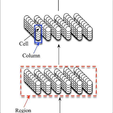 structure of a typical htm neural network htm hierarchical temporal