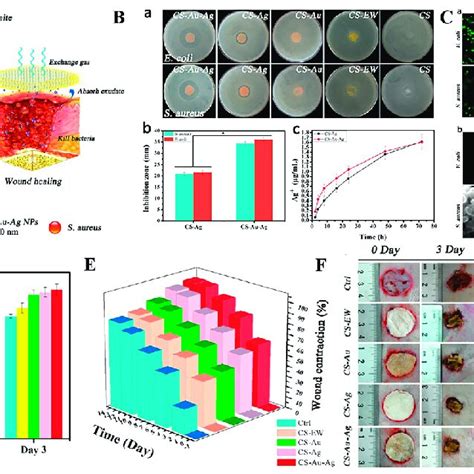 A Conceptual Illustration Of The Preparation Process For Bimetallic Download Scientific