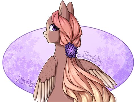 Framed By Feathers By Tears Of Xion On Deviantart