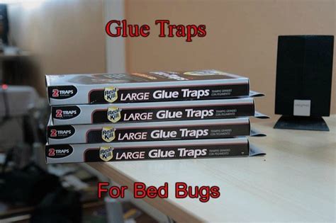 Buggybed And Expel Bed Bug Trap Review And Comparison Dengarden