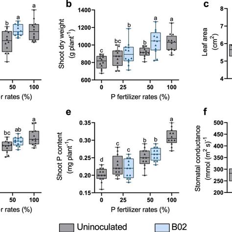 Effect Of The Inoculation Of Rhizobium Sp B02 On The Shoot Length A