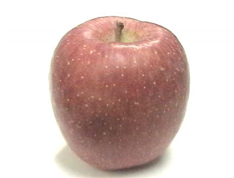 りんご：蜜入りサンふじ（マルダイ大場農園）