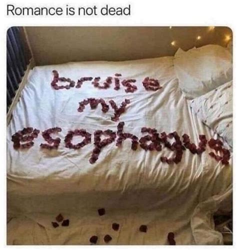 40 Sex Memes To Arouse Your Humor Bone EBaum S World