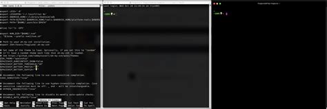 Spaceshipbatteryprefix Never Shows Up · Issue 244 · Spaceship Prompt