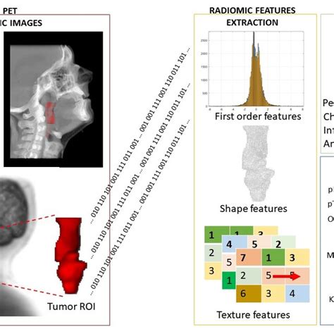 Radiomics Head And Neck Pipeline Left Part Ct And Pet Images Have