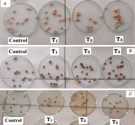 Half Merged Seeds For Maintaining The Airwater Interface In The