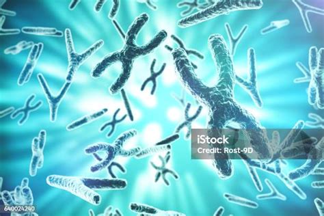 인간 생물학 의학 심볼을 위한 개념으로 Xy 염색체 Dna에 대한 스톡 벡터 아트 및 기타 이미지 Dna 유언 3차원 형태 Istock