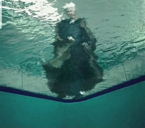 بالاترین آخرین پیام مهم و شنیده نشده از هاشمی رفسنجانی قبل از مرگ ویدئو