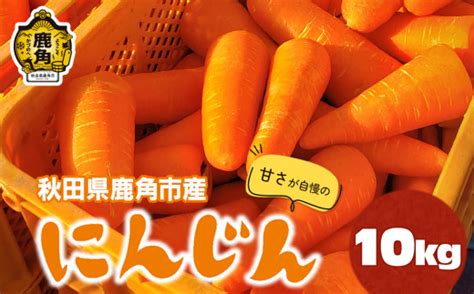 《先行予約》秋田県鹿角産「にんじん」10kg【鏡田ファーミング】 2024年11月発送開始 人参 甘い 秋田県 鹿角市 国産 野菜 高糖度