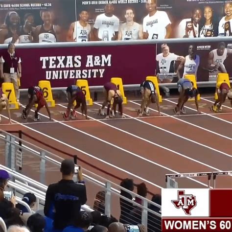 Sex The Point Is Sex Rshitpost