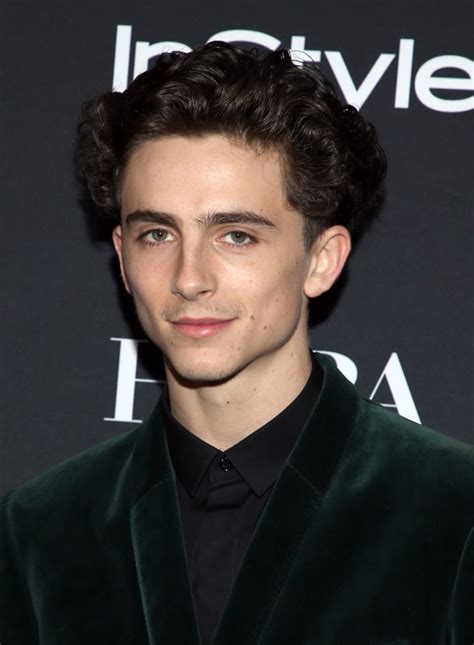 Hot Timothée Chalamet Pictures Popsugar Celebrity Photo 3