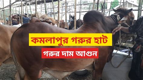 গরুর হাট ২০২৩ Youtube