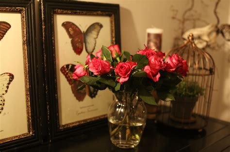 무료 이미지 식물 빨간 크리스마스 미술 플로리스트 리 플로랄 디자인 중앙부 장식 꽃꽂이 8192x5461 179240 무료 이미지 Pxhere