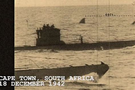 Is The Megalodon Still Alive