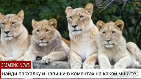 Песня 4 пацана Youtube
