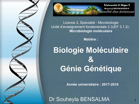 SOLUTION Cours Bmgg L Microbio Partie Le G Nie G N Tique Studypool