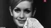 Twiggy Swinging London On Tumblr