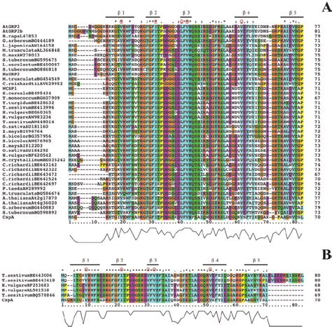 Multiple Alignment Of Deduced Amino Acid Sequences Of Csd Homologs A