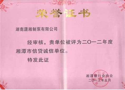 中开泵 冷凝泵 离心泵 排污泵 化工泵 湖南潇湘制泵有限公司