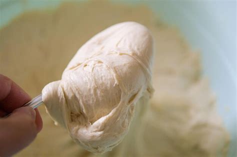 Premium Photo Fermented Wheat Flour Dough Raw Fermented Dough