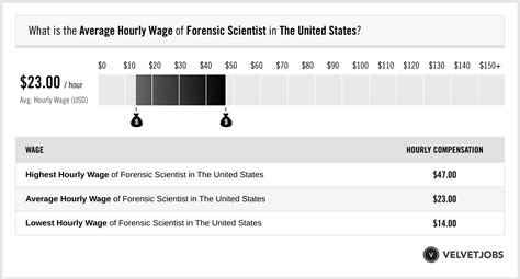 Forensic Scientist Salary Actual 2025 Projected 2026 Velvetjobs