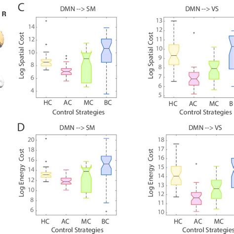 Regional Roles In Control Tasks A Cognitive Control Regions Cover A Download Scientific