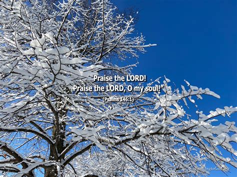 Praise The Lord Always — Looking To God Quietmomentswithgod