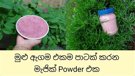 මුළු ඇගම එකම පාටක් කරන මැජික් Powder එක How To Make Full Body