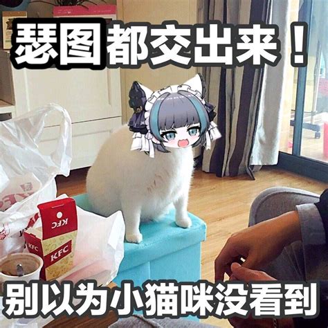 碧蓝航线猫猫表情包2 哔哩哔哩