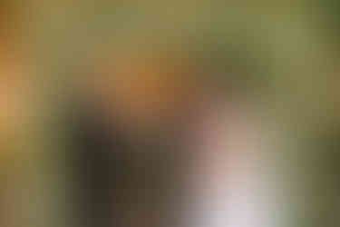 Tips To Write Your Wedding Vows