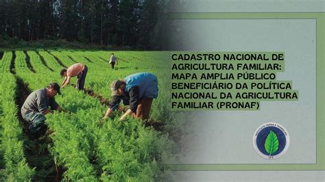 Cadastro Nacional Da Agricultura Familiar Ministério Da Agricultura